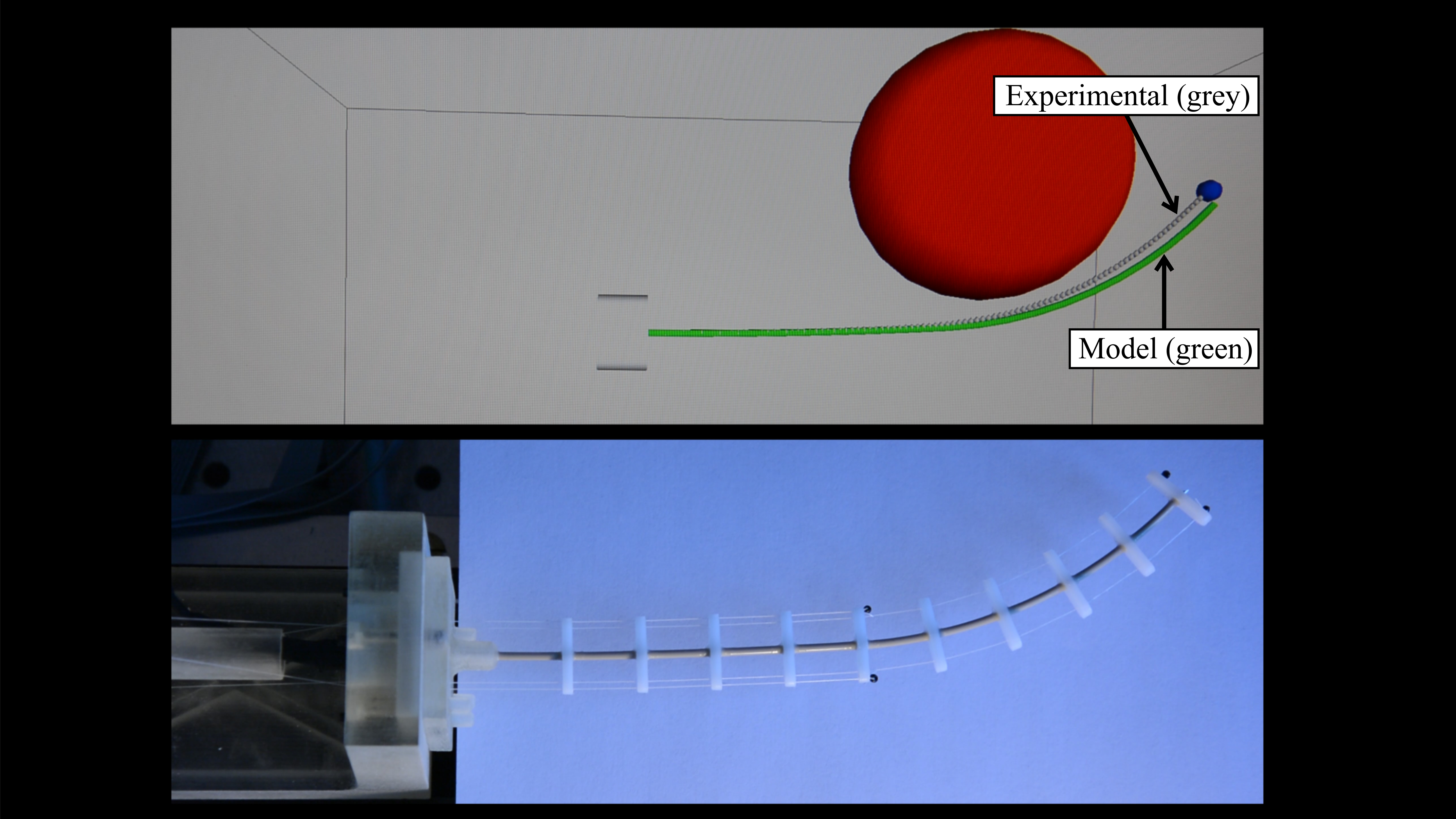 Real Time Shape Sensing For Flexible Instruments Surgical Robotics Lab